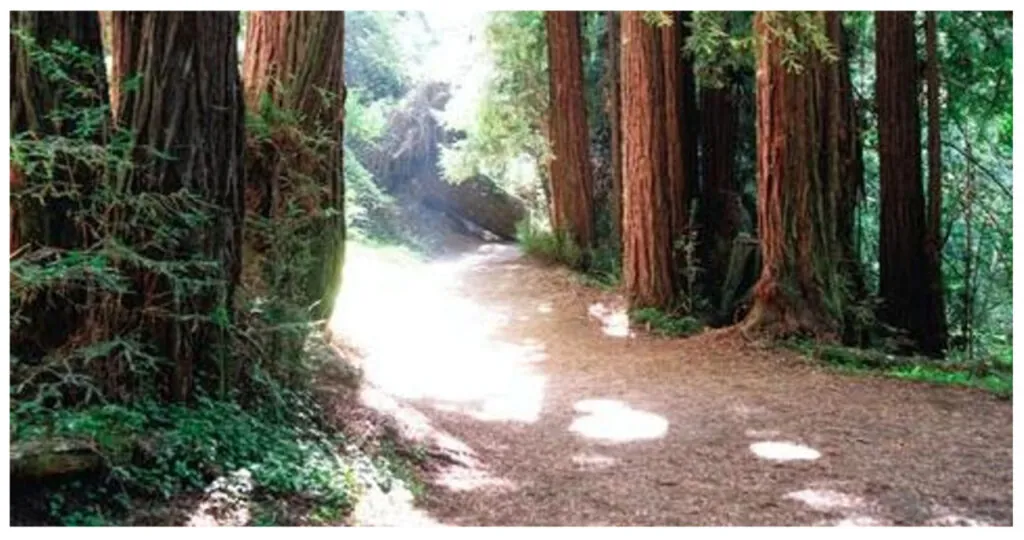 Hoopa Valley Tribe acquires 10,000 acres of California land, sparking ...